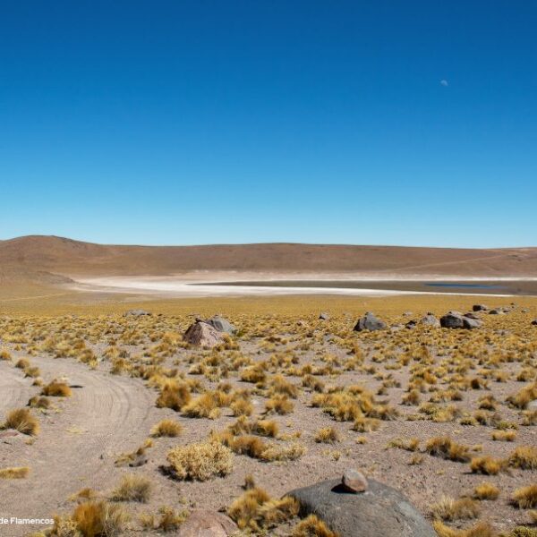 Lagunas Miscanti y Miñiques - Socaire Chile
